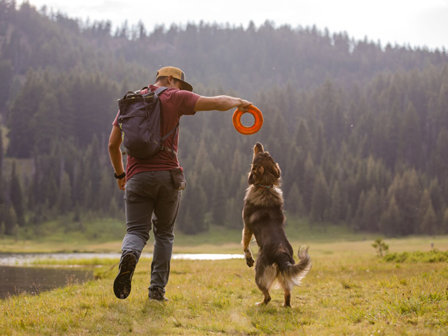 Ruffwear Hydro plane frisbee